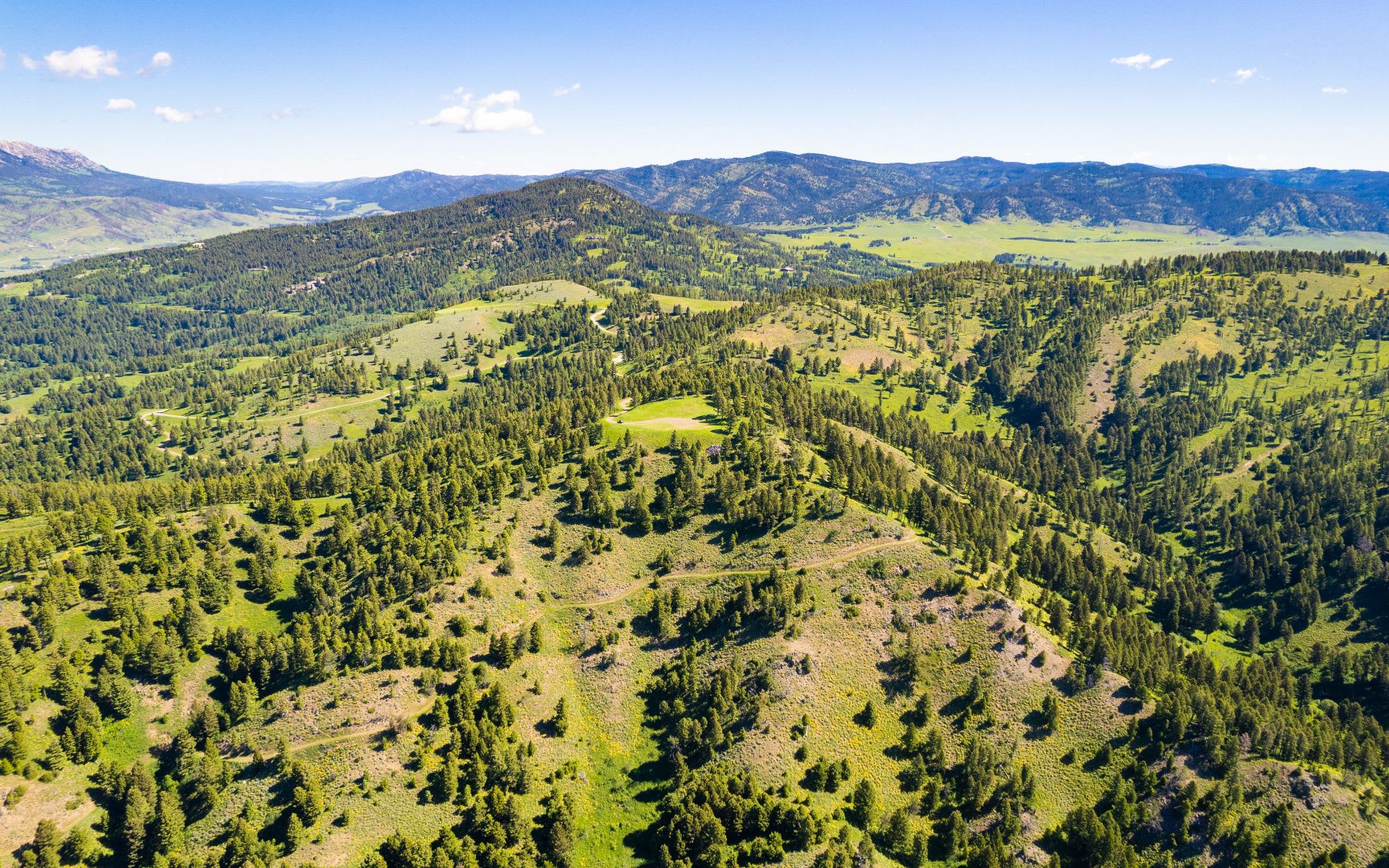 North Pass Ranch | Charlotte Durham