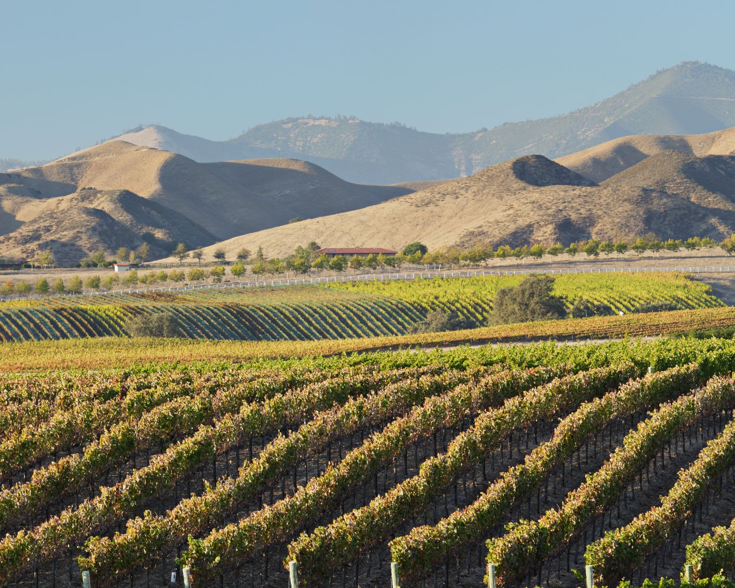 Our Offices | Village Properties | Santa Barbara Real Estate Team