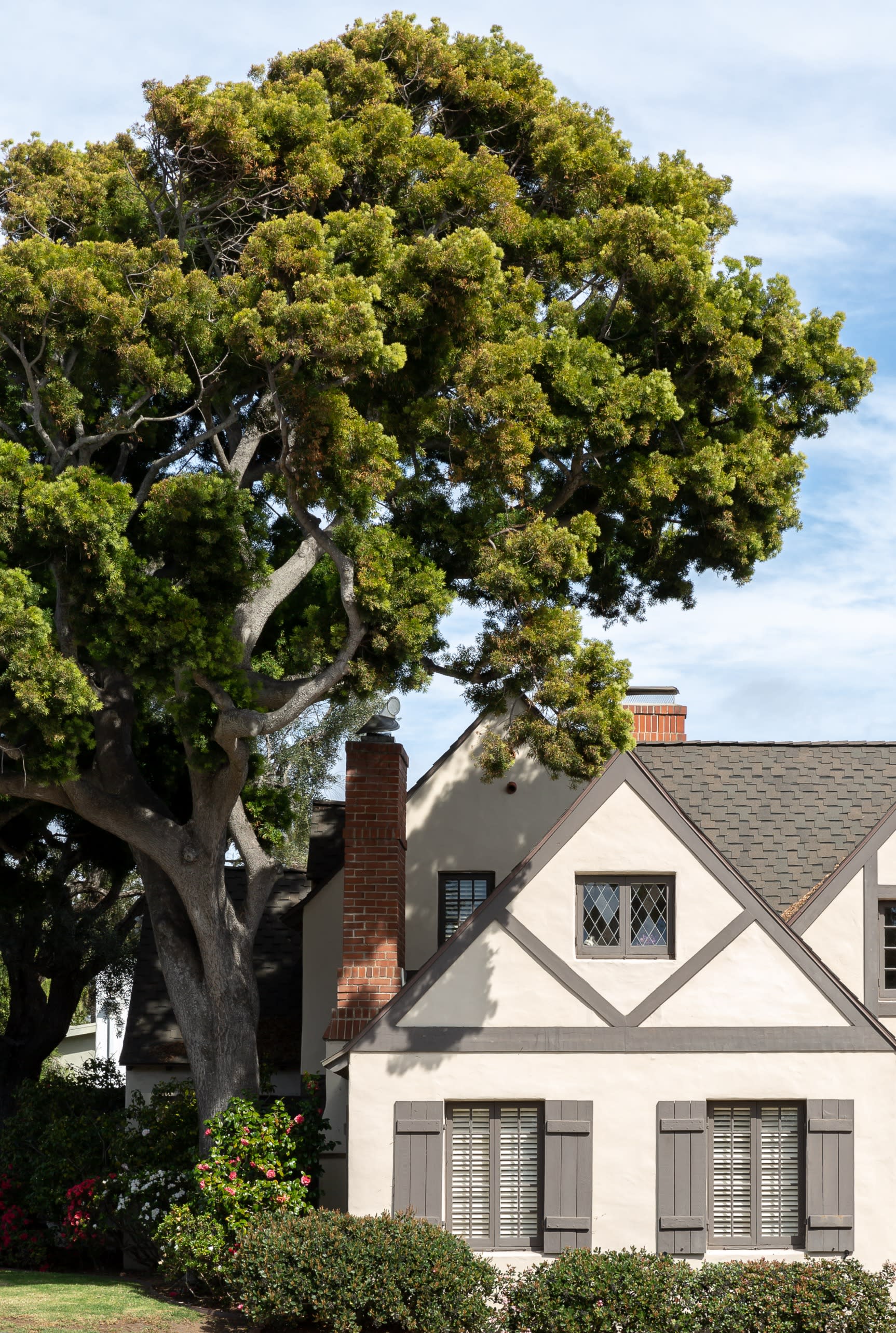 Richmond Real Estate Experts – Discover Your Dream Home