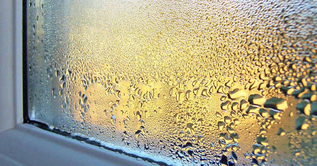 Interior Condensation Solutions | Lake Geneva Real Estate | Bob Webster