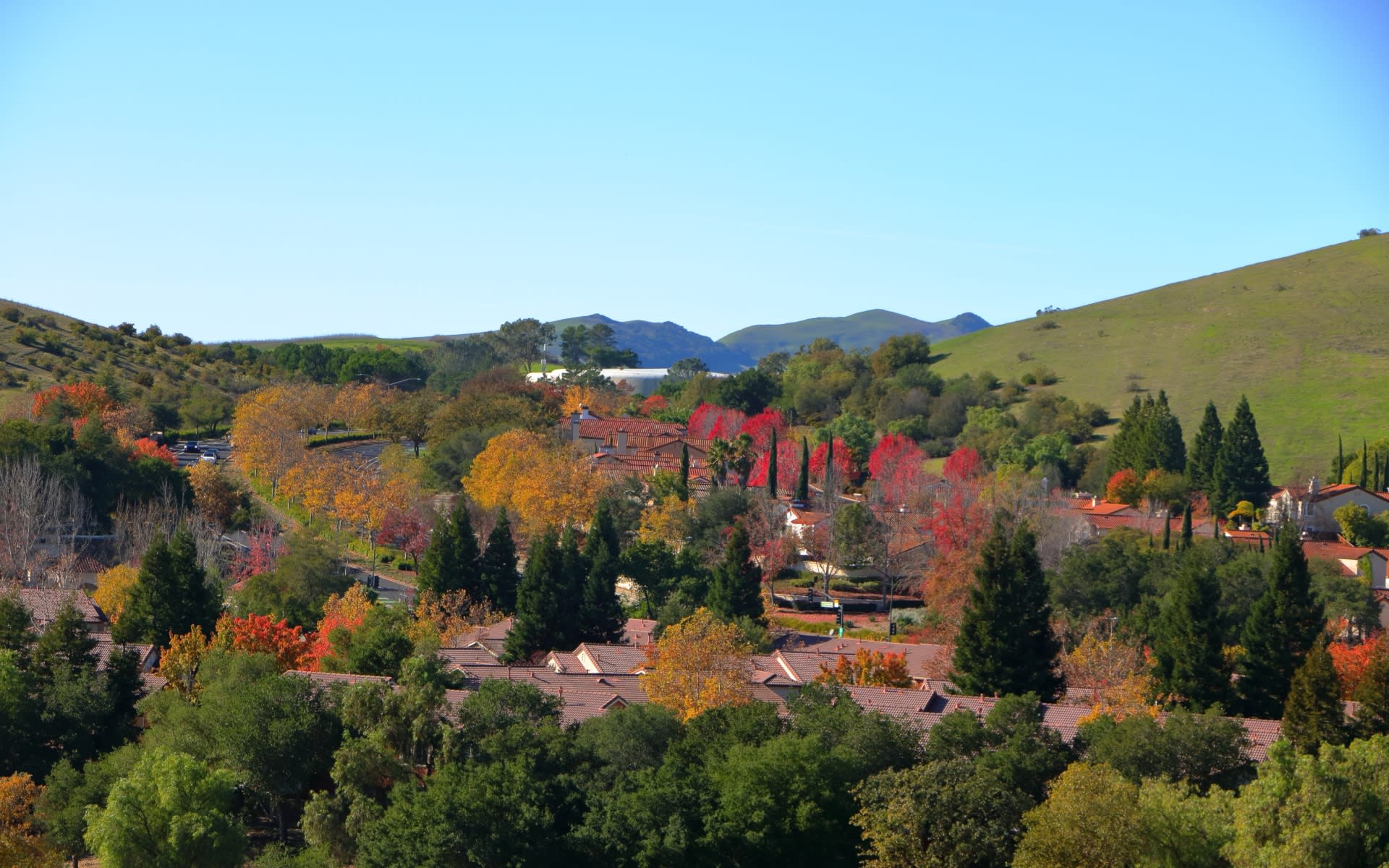 Homes For Sale in Walnut Creek, California | Kailani Kimoto