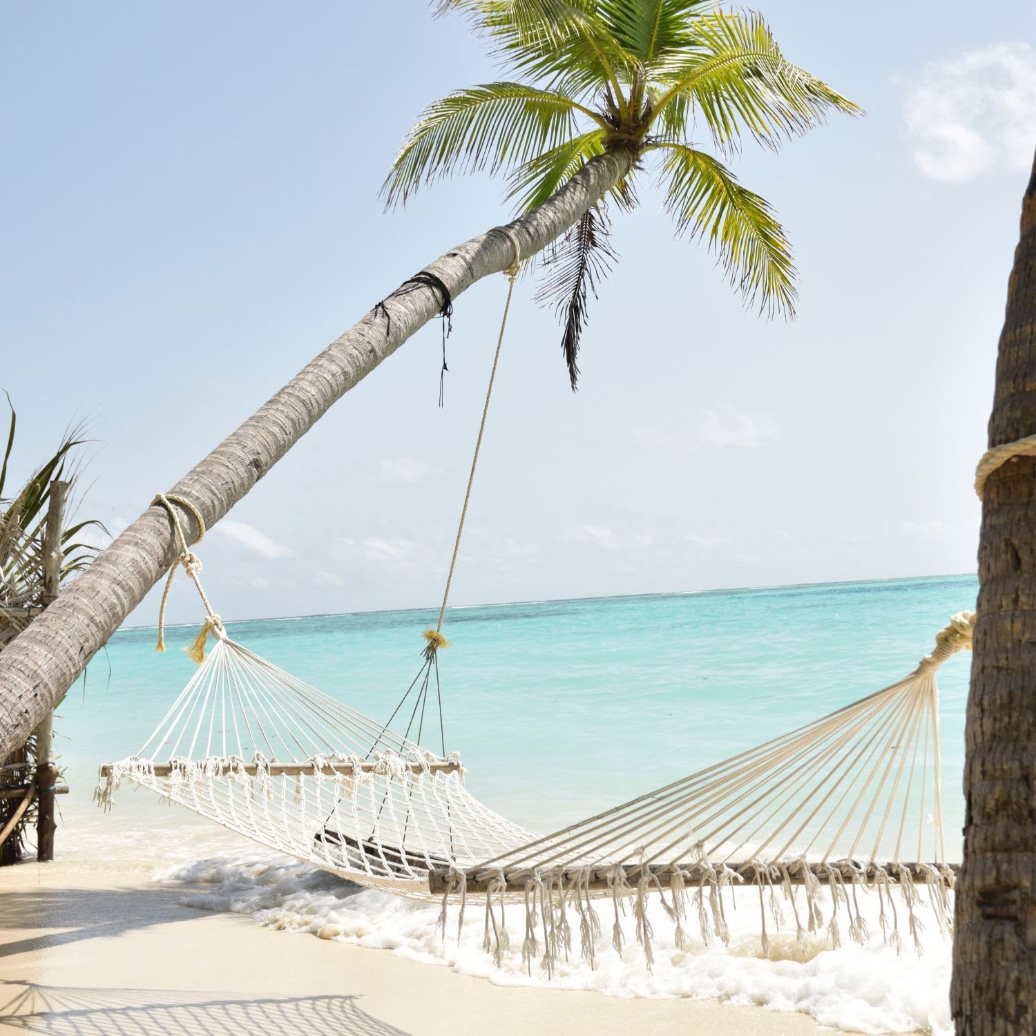 The Marchello Team | Maui Real Estate Experts