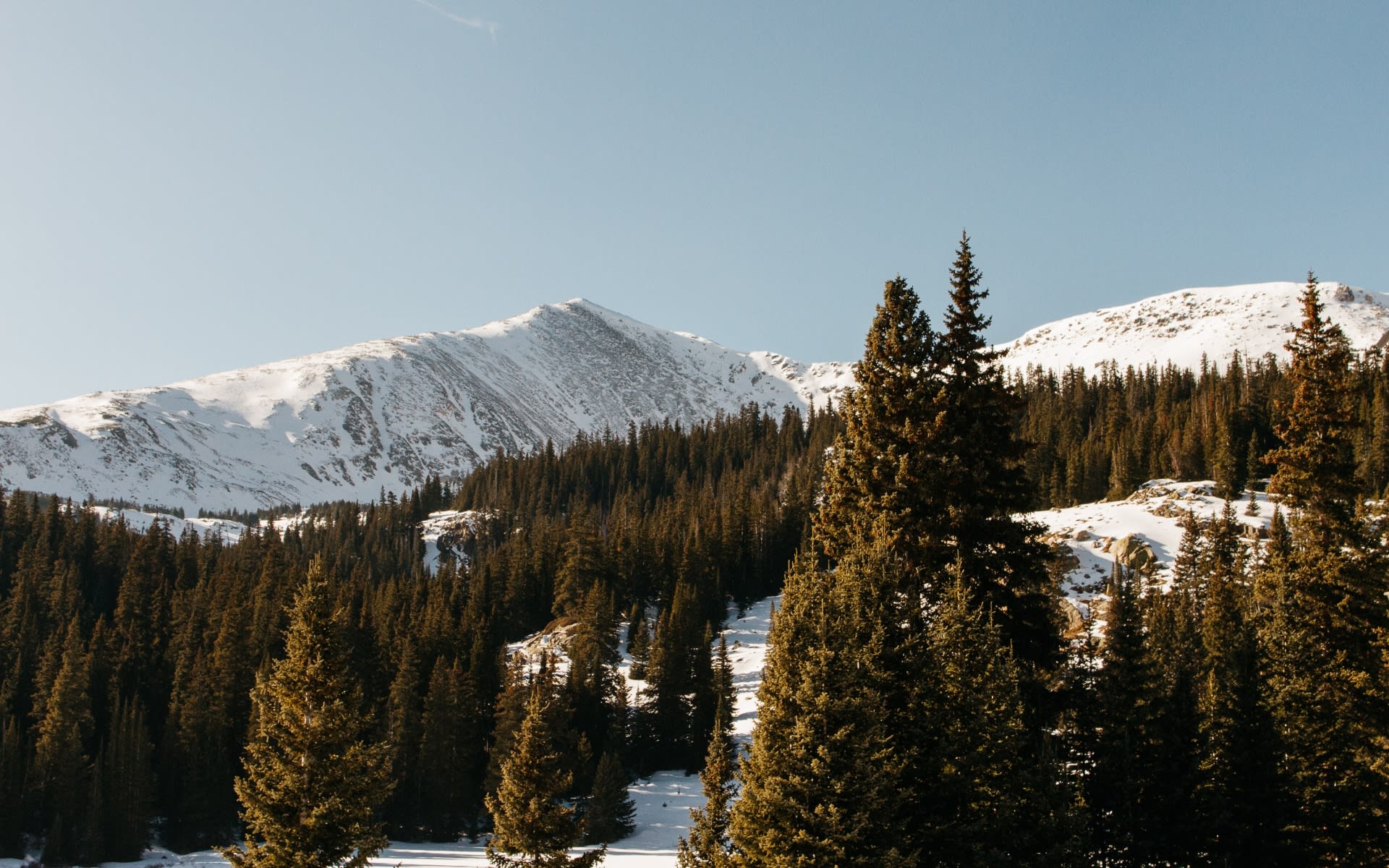 Liza Story | Park City Real Estate Agent