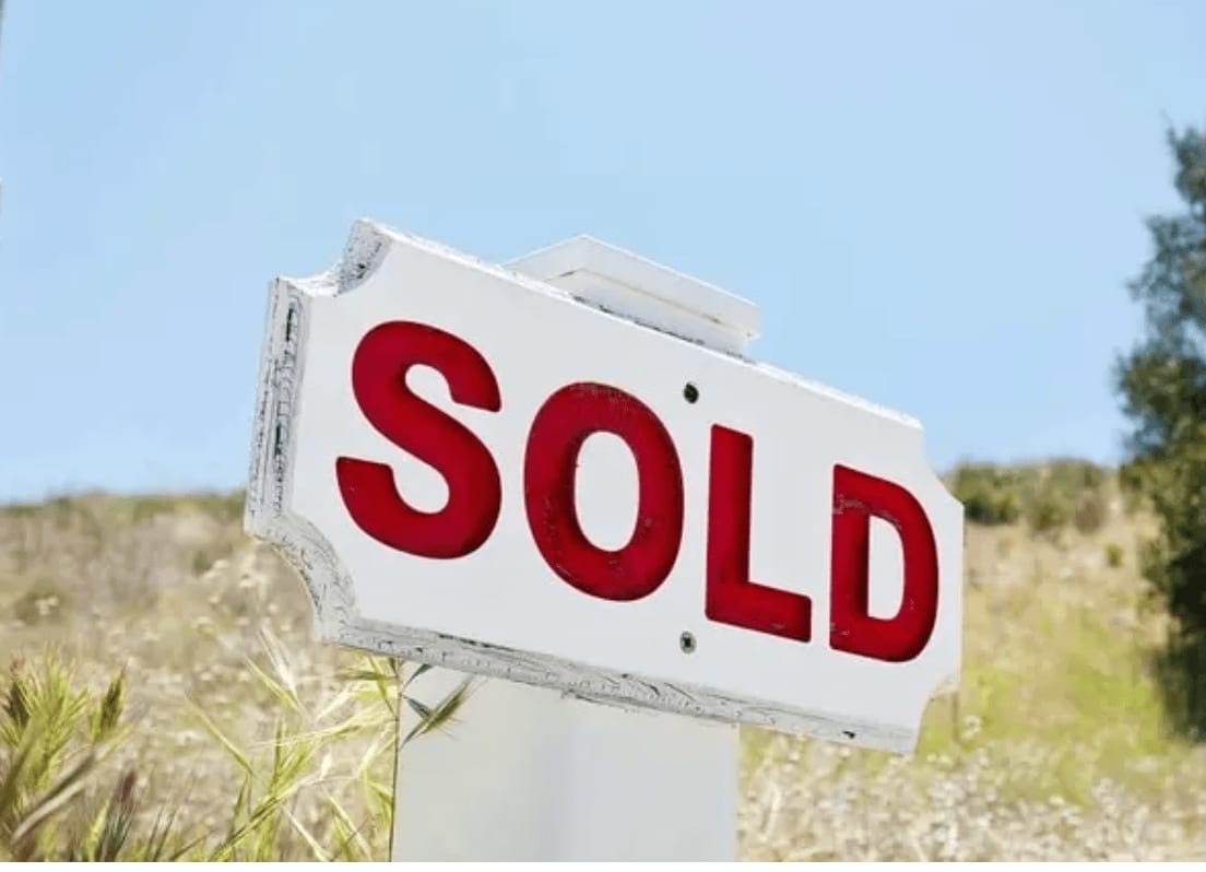 What Happened This Week? | Blog | Ellen McCue