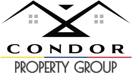 Top Texas Real Estate Agents | Condor Property Group