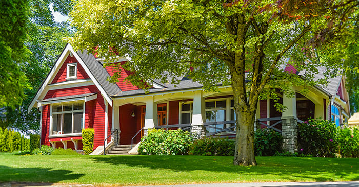 Pros & Cons of Planting Trees on Properties | Shad Bogany
