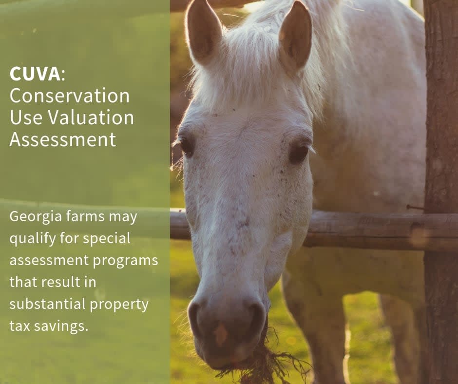 CUVA Milton GA Fulton County | The Jenny Doyle Group | Milton, GA Real ...