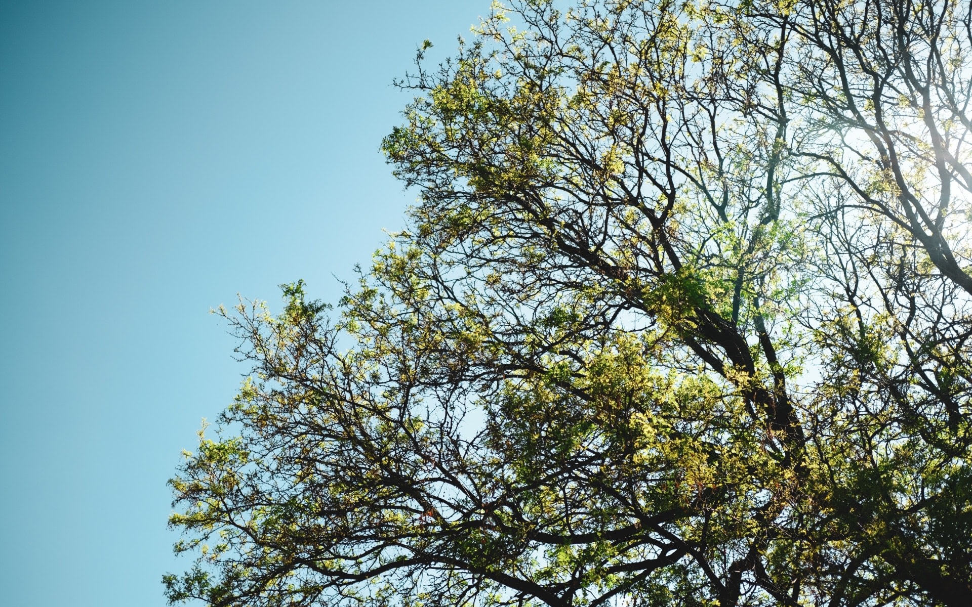 Florida Neighborhoods - Jamie Boer Homes Team