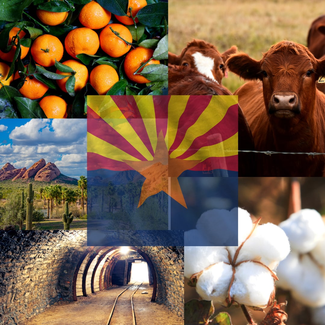 5 C's of Arizona: