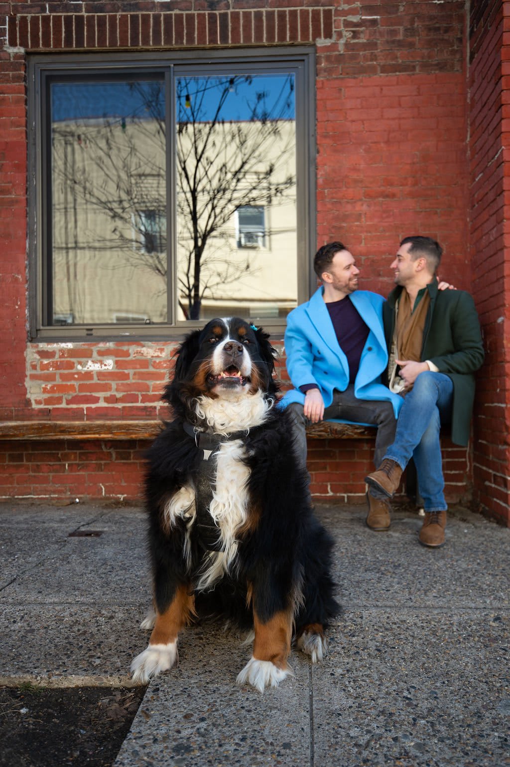 Chris & Dan | Home Stories