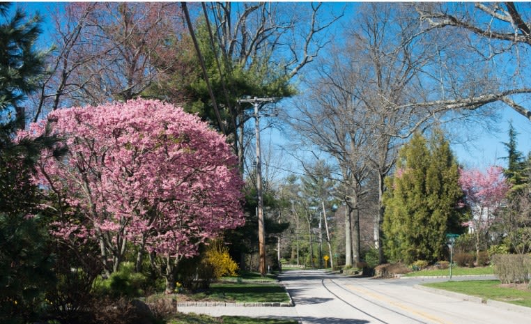Michael McCooey | Westchester Real Estate Expert