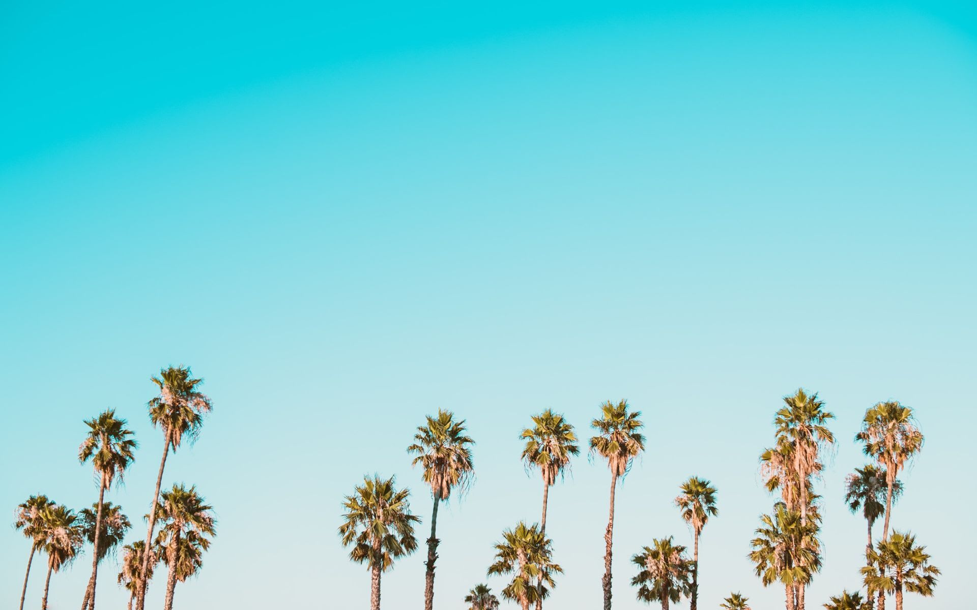 Aubre Stacknick | Pittsburgh PA Real Estate