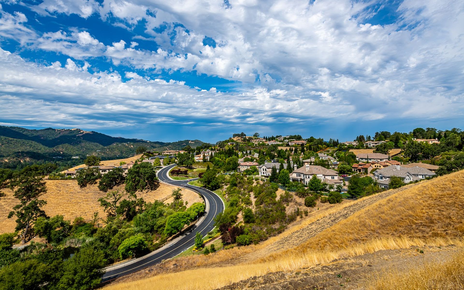 Homes For Sale in Alamo, California | Kailani Kimoto