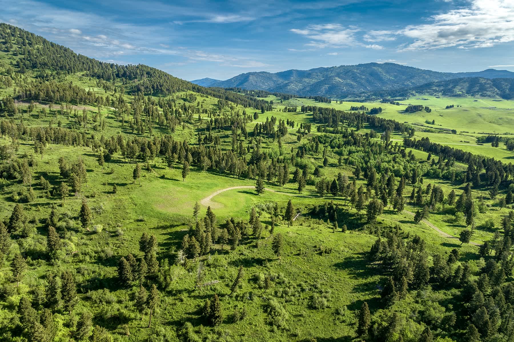 North Pass Ranch | Charlotte Durham