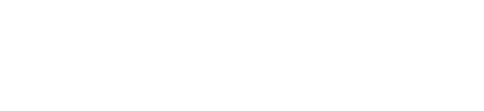 Dora Puig | #1 Miami Beach Luxury Real Estate Agent