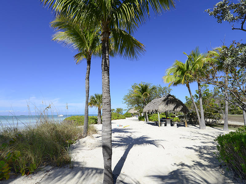 White Marlin Beach | Neighborhood Guide