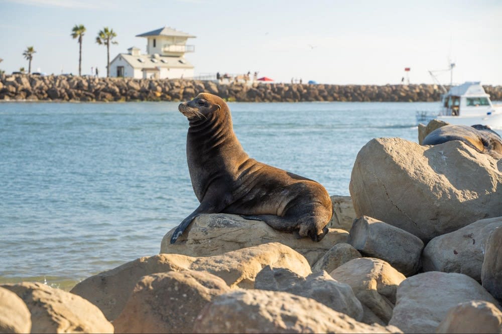 10 Best Beaches in Oxnard, CA | Blog | Ann Howarth | Ann Howarth