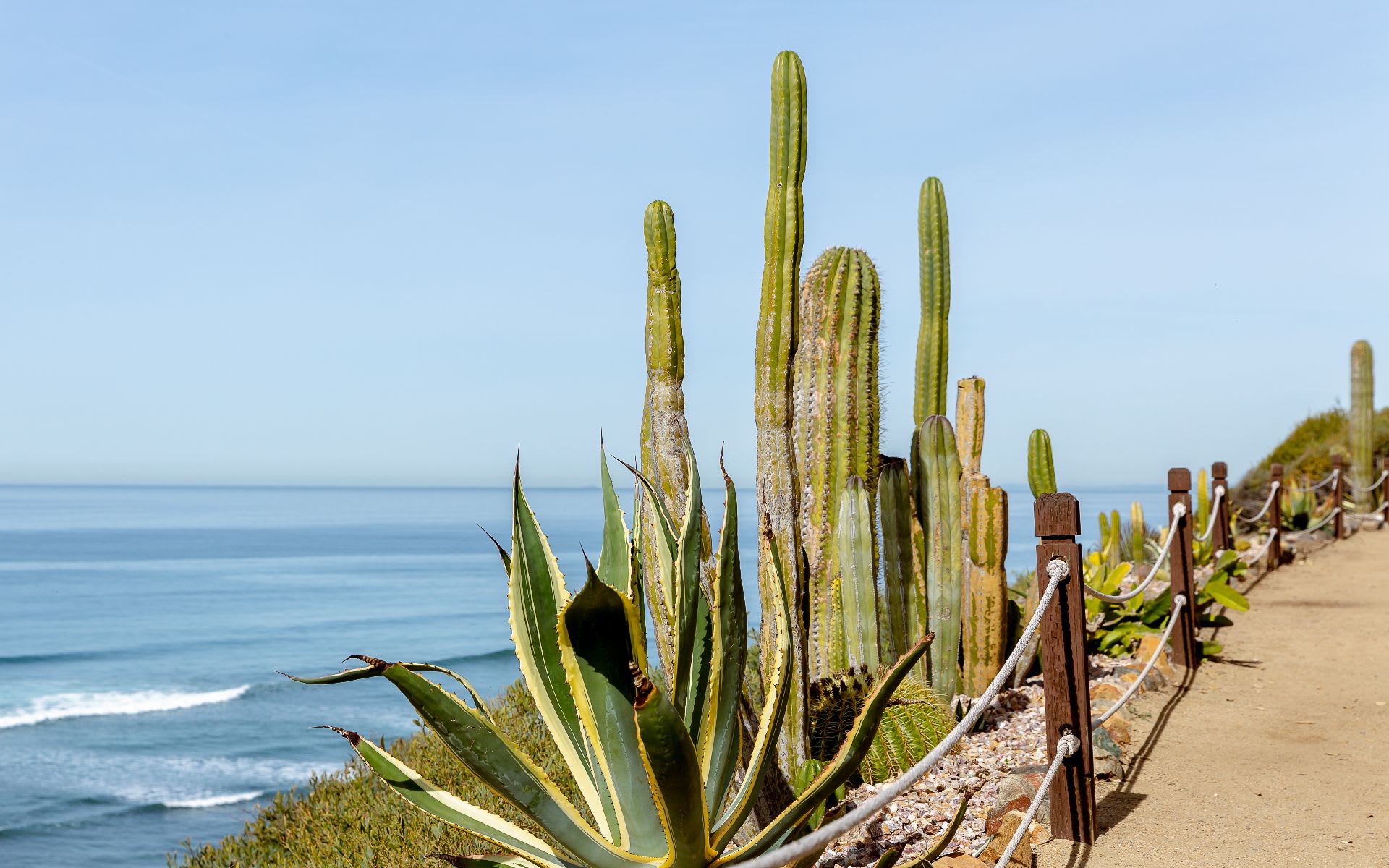 Blog | Lauren Gable | San Diego Real Estate Agent