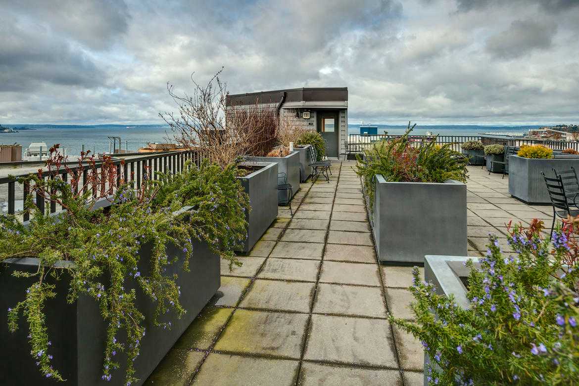 Matae | Development | Jeff Reynolds