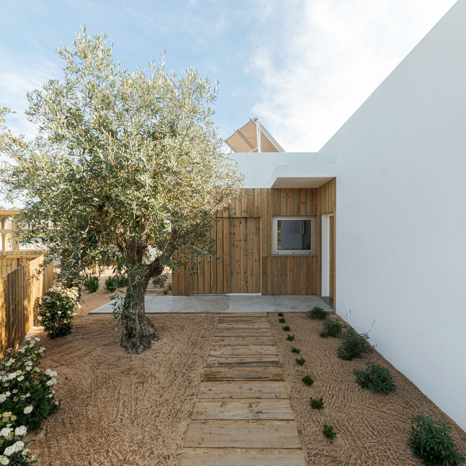 Shelley Reynolds | Sego Real Estate