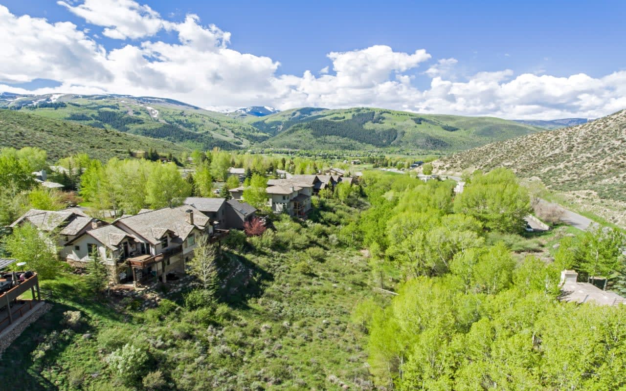 Singletree Community Guide