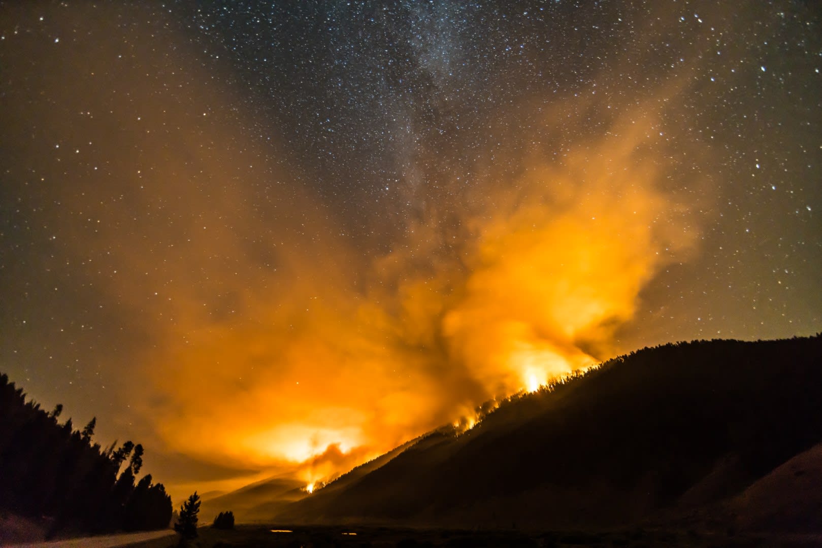 Managing Wildfire Risk in Big Sky | Callie Pecunies