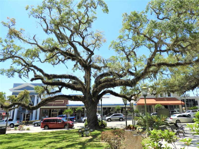 Brooksville Neighborhood Guide | King & Associates | King & Associates ...