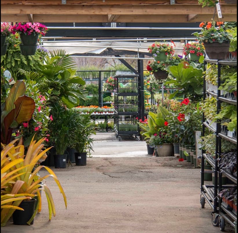 Unveiling the Green Oasis: Sunnyside Gardens – Where Minneapolis Blooms