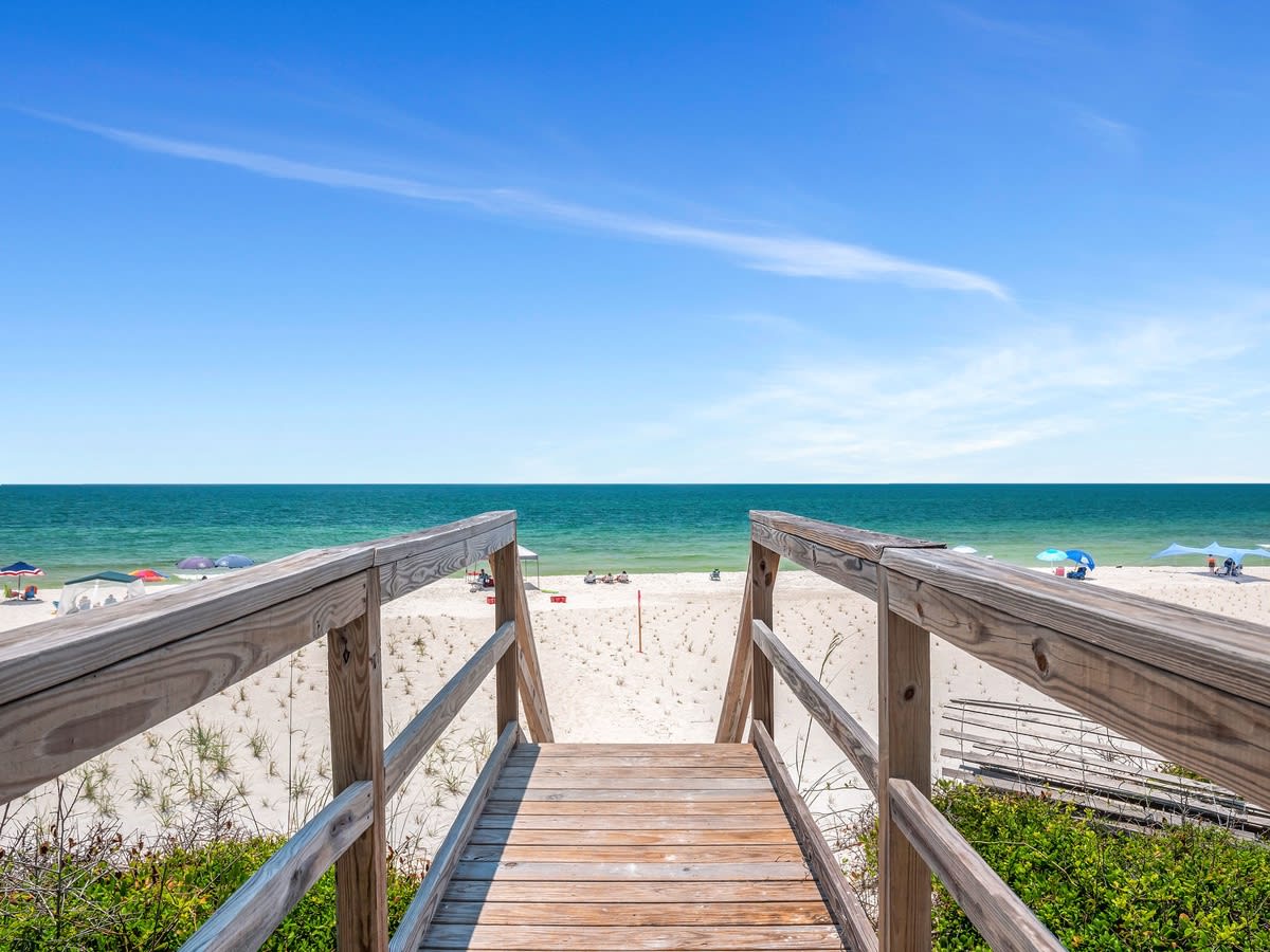 Carter Dorsch | Real Estate Agent Serving Florida