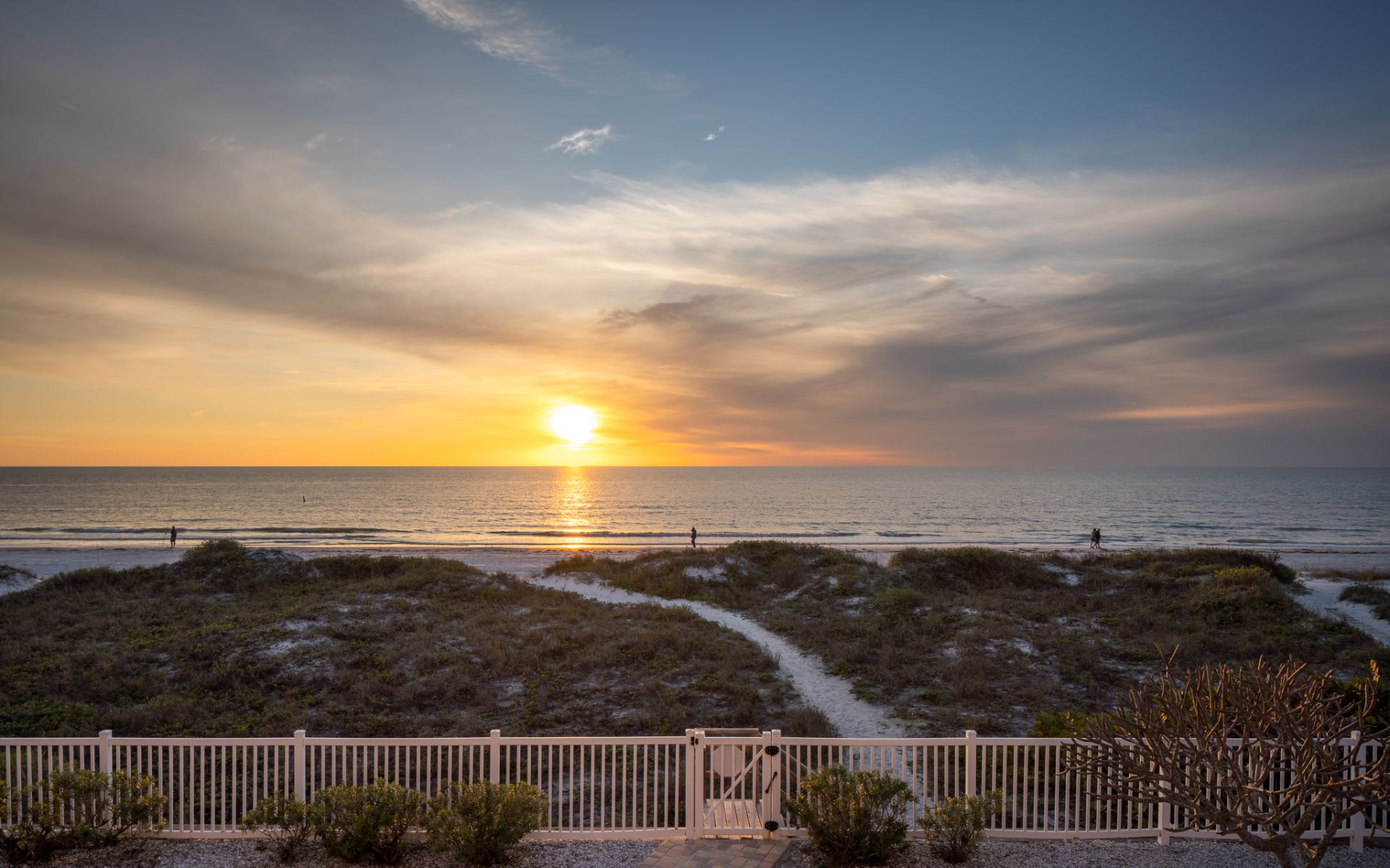 Vendors | Pinellas County Beaches Real Estate | Adrienne Dauses