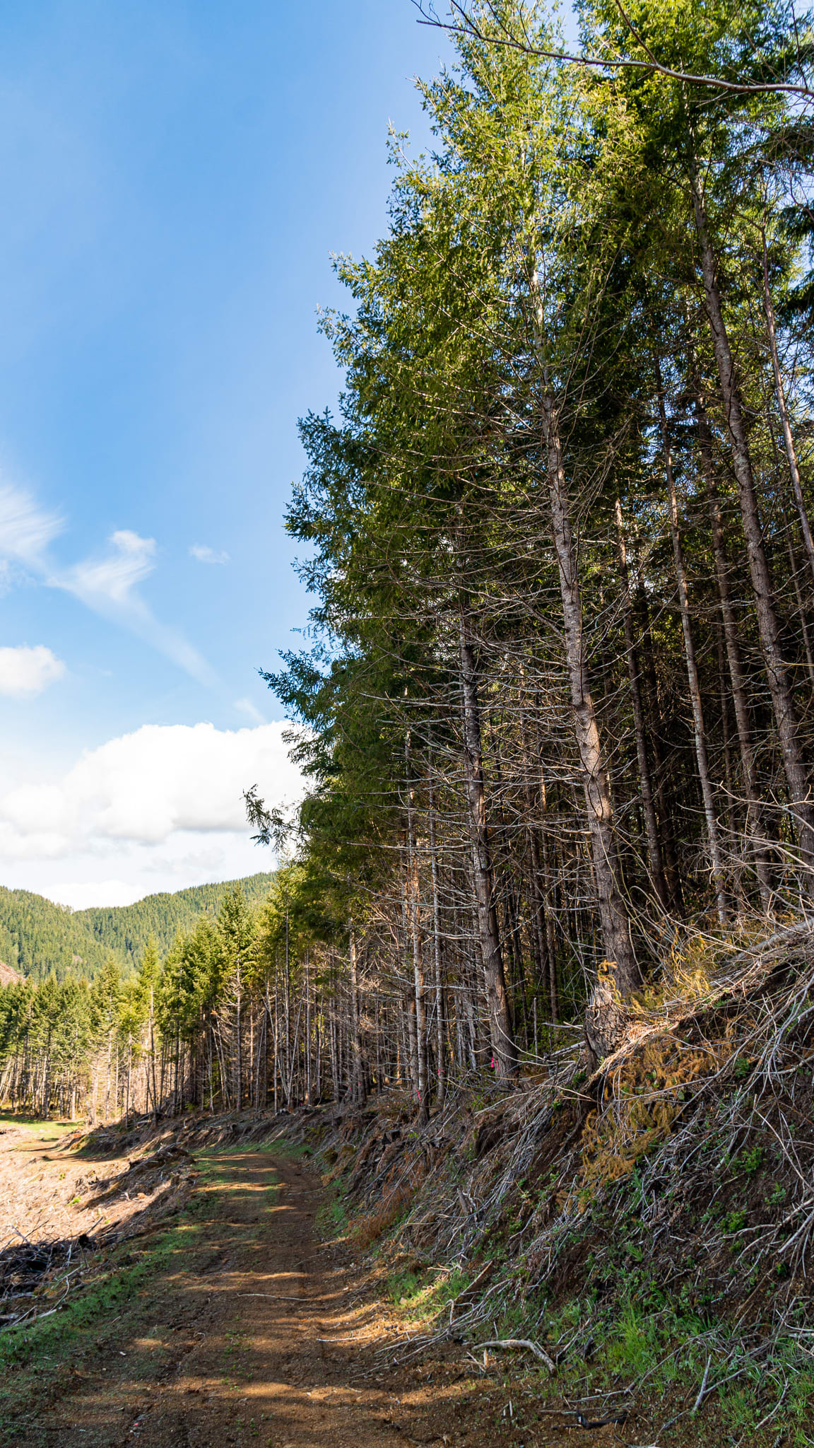 Eddyville/Sam's Creek Sealed Bid Offering (No Published Reserve)