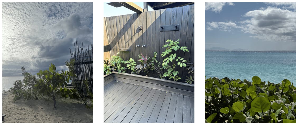 MLS listings in Contra Costa and Alameda Counties. Named the Top Realtor® In Burlingame.