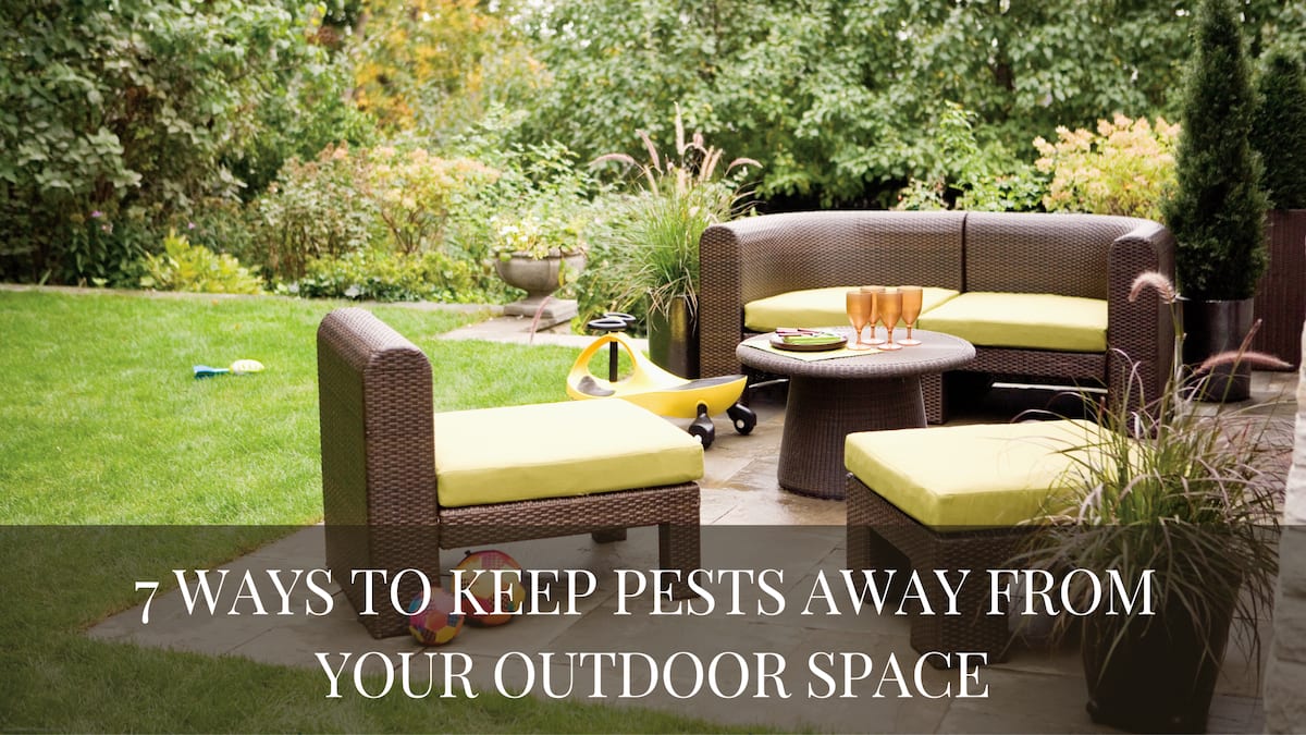 7 Ways To Keep Pests Away from Your Outdoor Space