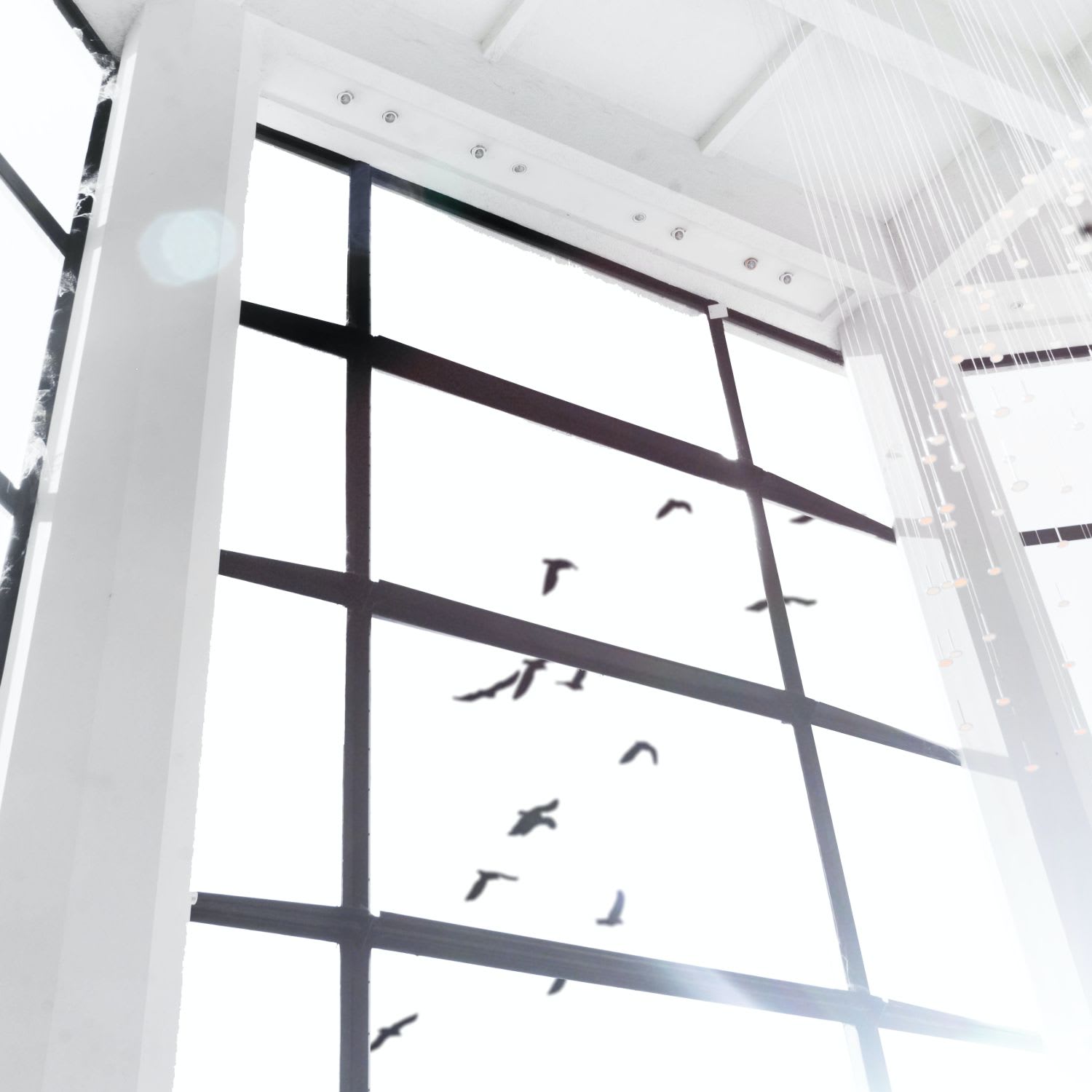 Beverly Hills Luxury Homes for Sale | Realtor Yar Meshkaty