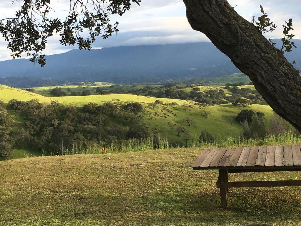 Meet the Team | Monument Global Estates