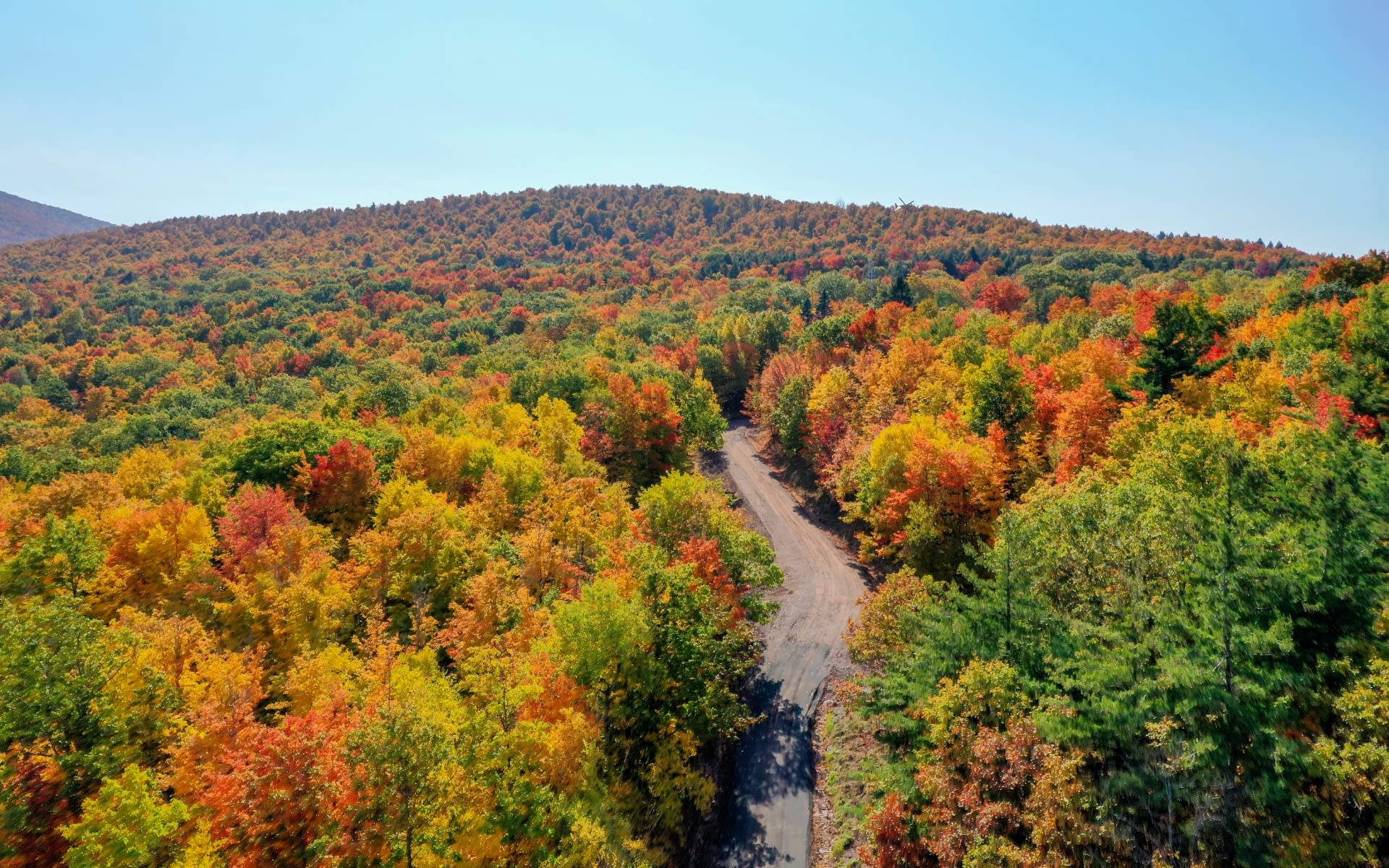 The Amy Rupp Team | Logan Real Estate Professionals