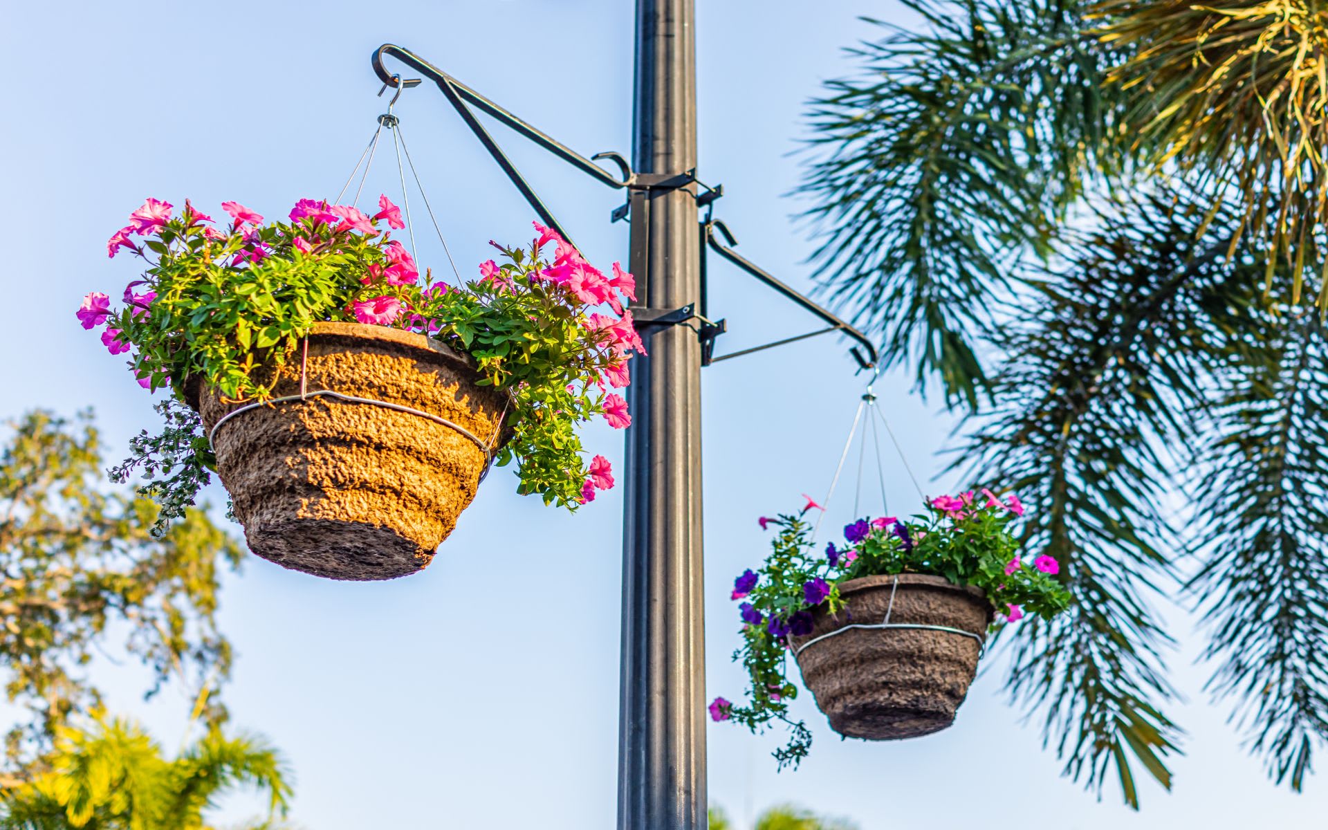 The Ina Bloom Team | Boca Raton & Delray Beach Real Estate