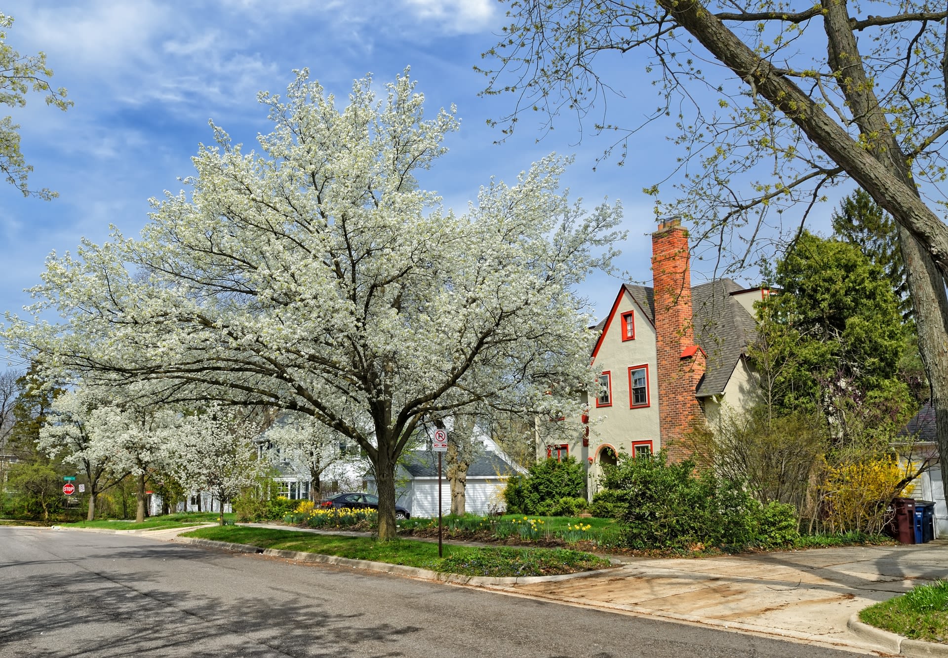 Neighborhoods | Adrian J. Nugent | New York Real Estate Expert