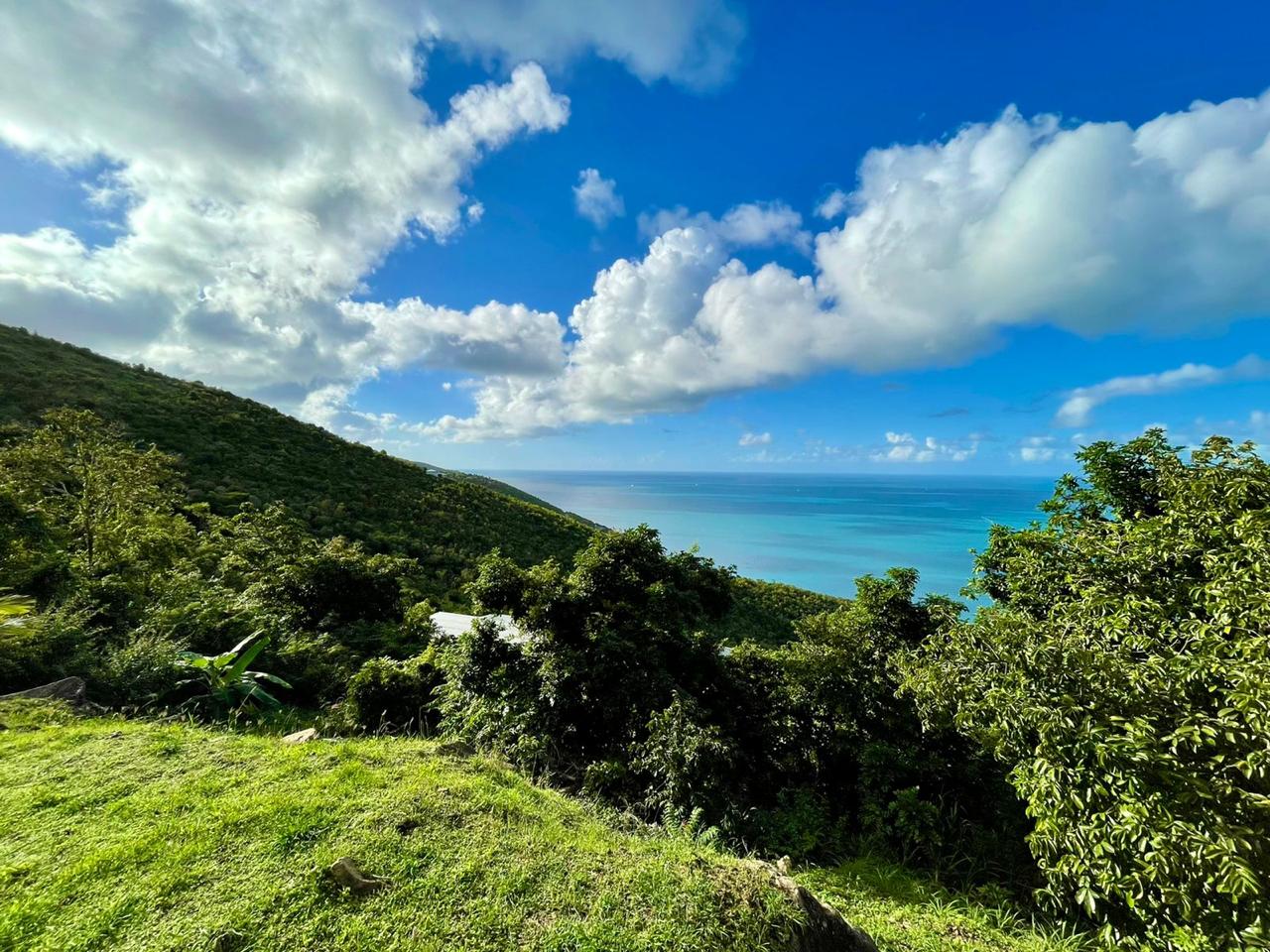 360 Rogues Bay 1 Bedroom Apartment | Luxury Properties BVI | Tortola ...
