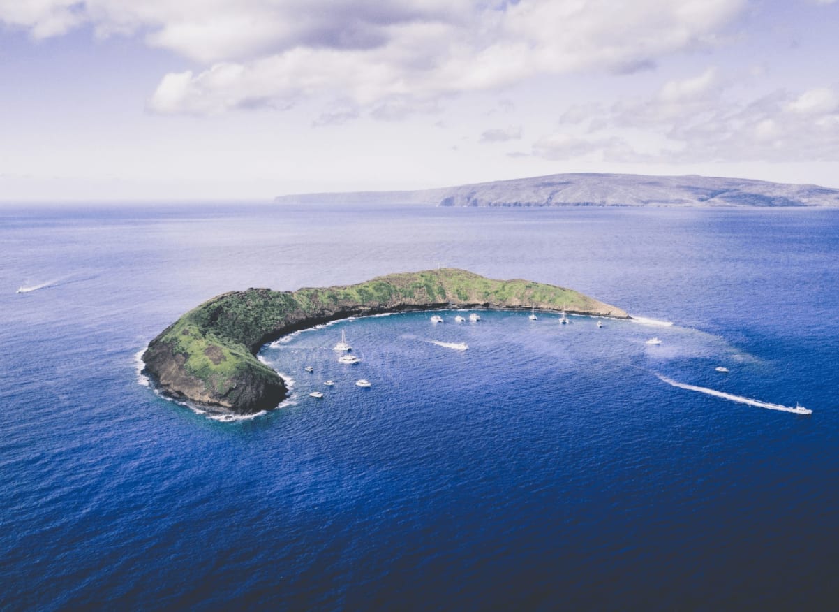 Unique and Historical Facts You Didn’t Know About Maui | GM Maui Group