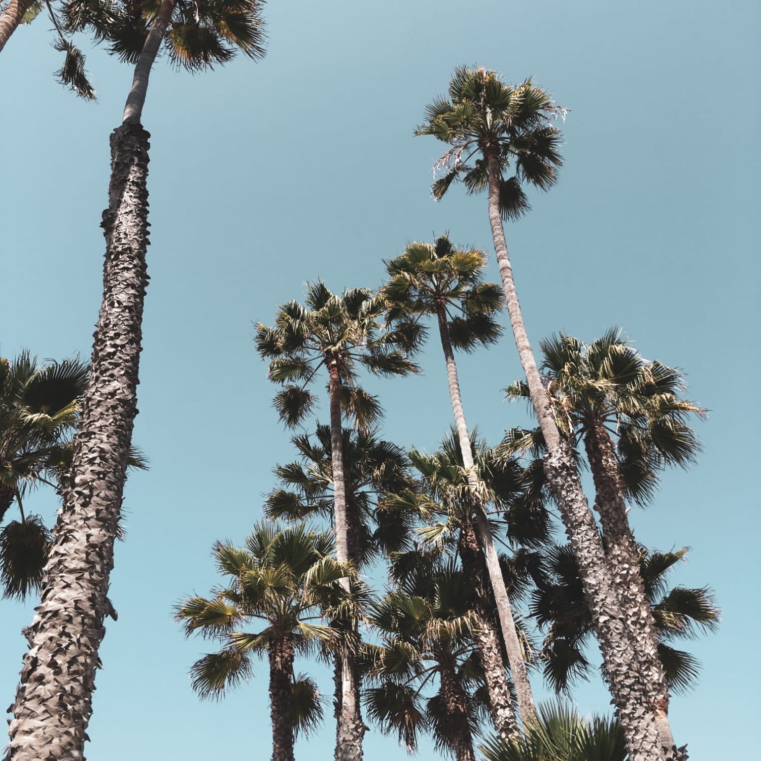 Thomas Atamian + Associates | Pasadena Real Estate