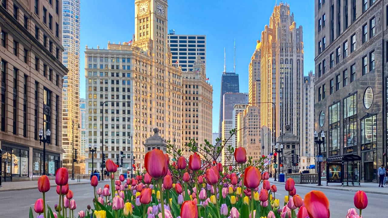 Let That Spring Sun Shine! Chicago’s New Hotspots to Drink & Dine - A ...