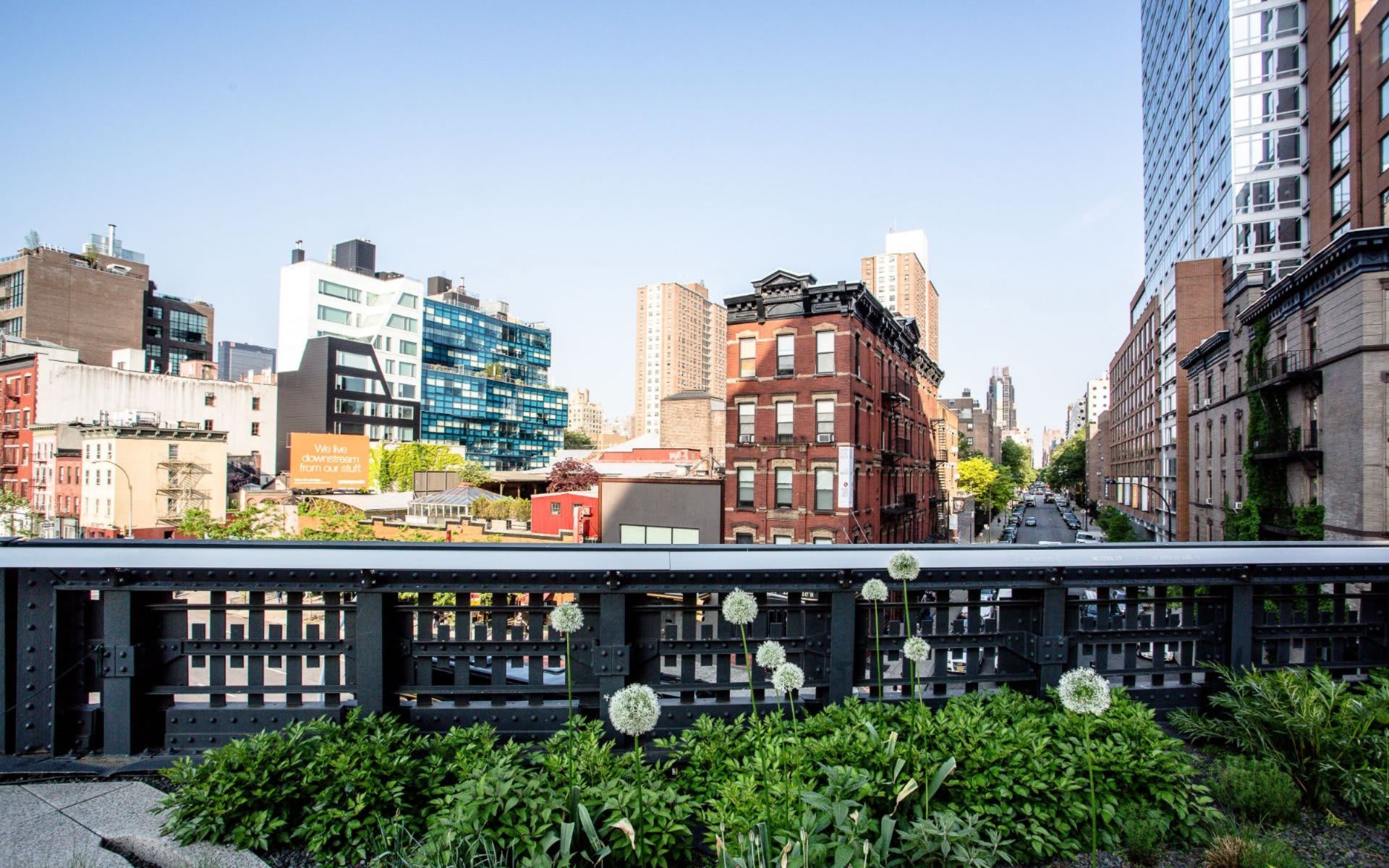 Things to Do in NYC | Maria Fernanda Roda