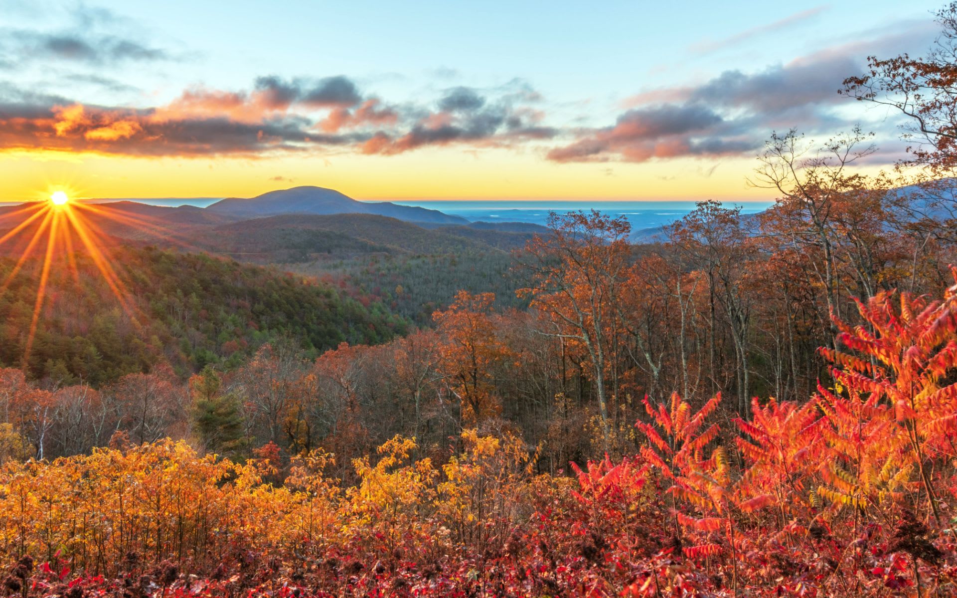 Crozet, VA Real Estate & Homes For Sale | Denise Ramey Real Estate Team
