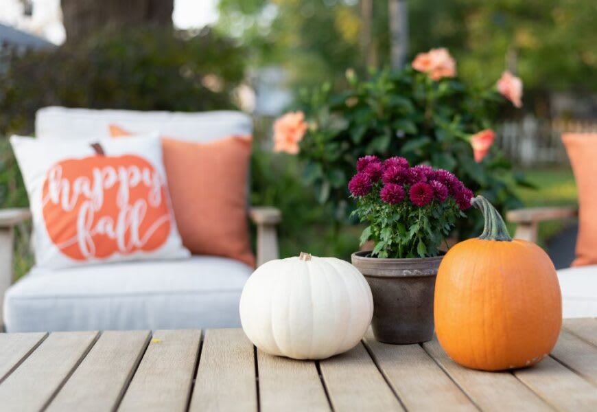 6 Inexpensive Ways to Elevate Your Backyard This Fall I Blog 6 Inexpensive Ways to Elevate Your Backyard This Fall I Blog