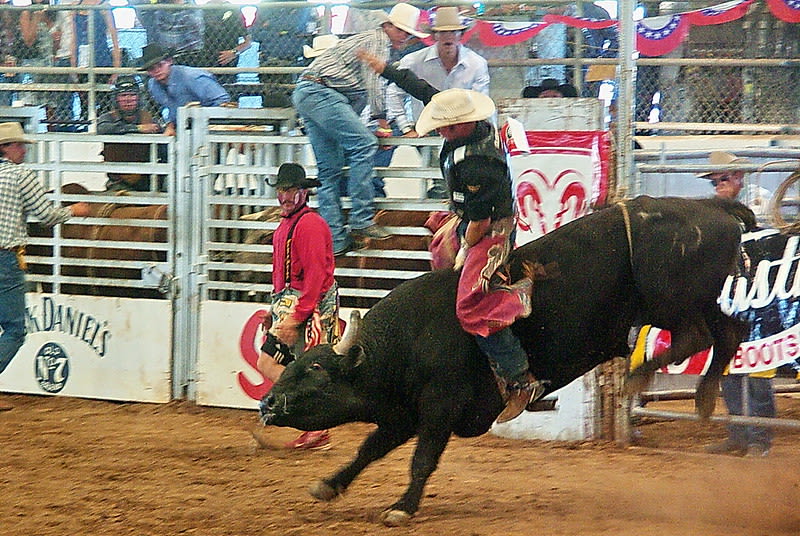 Get Your Rodeo On!