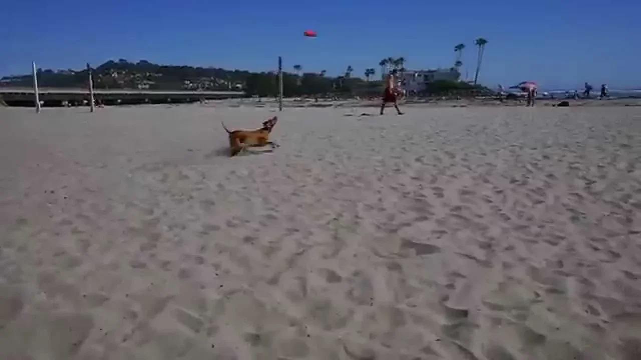 Solana Beach | Rande Turner Collective