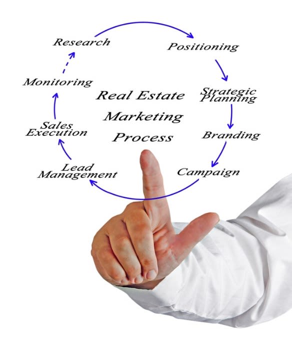 Mastering Client Service Through Effective Systems