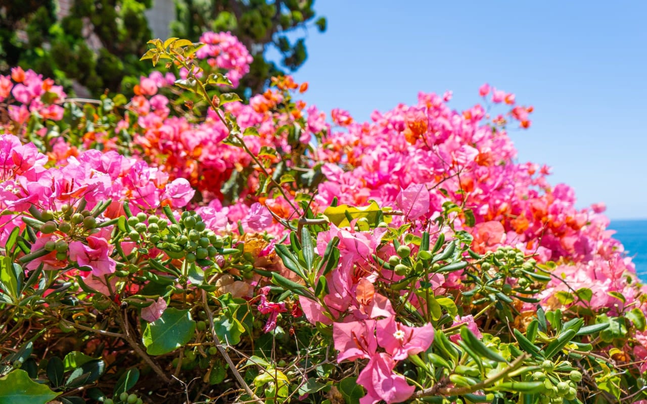 The Warner Hall Group | St. Louis Real Estate Agents