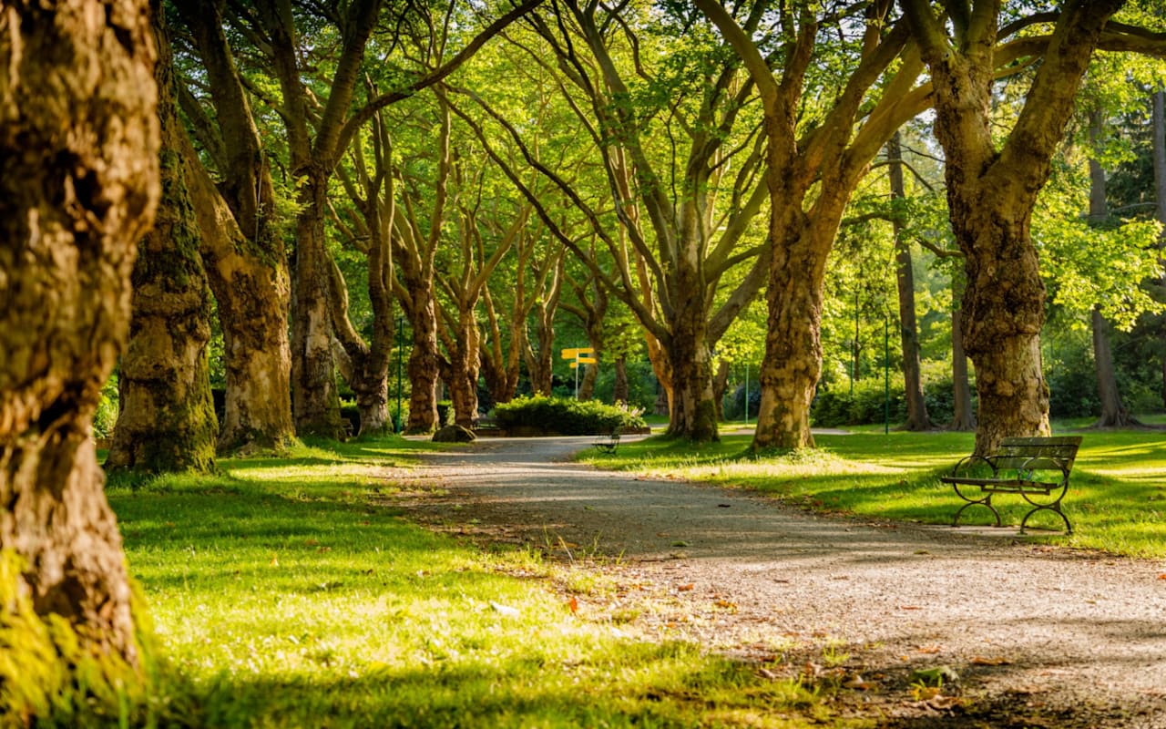 A Guide to Naperville, IL Parks | Blog | Lori Johanneson Team